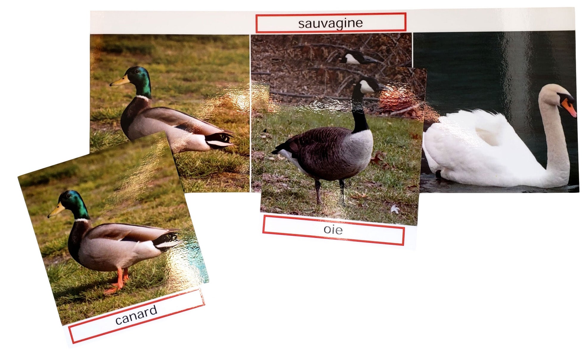 Match The Photos - Keeping Busy | Eugeria