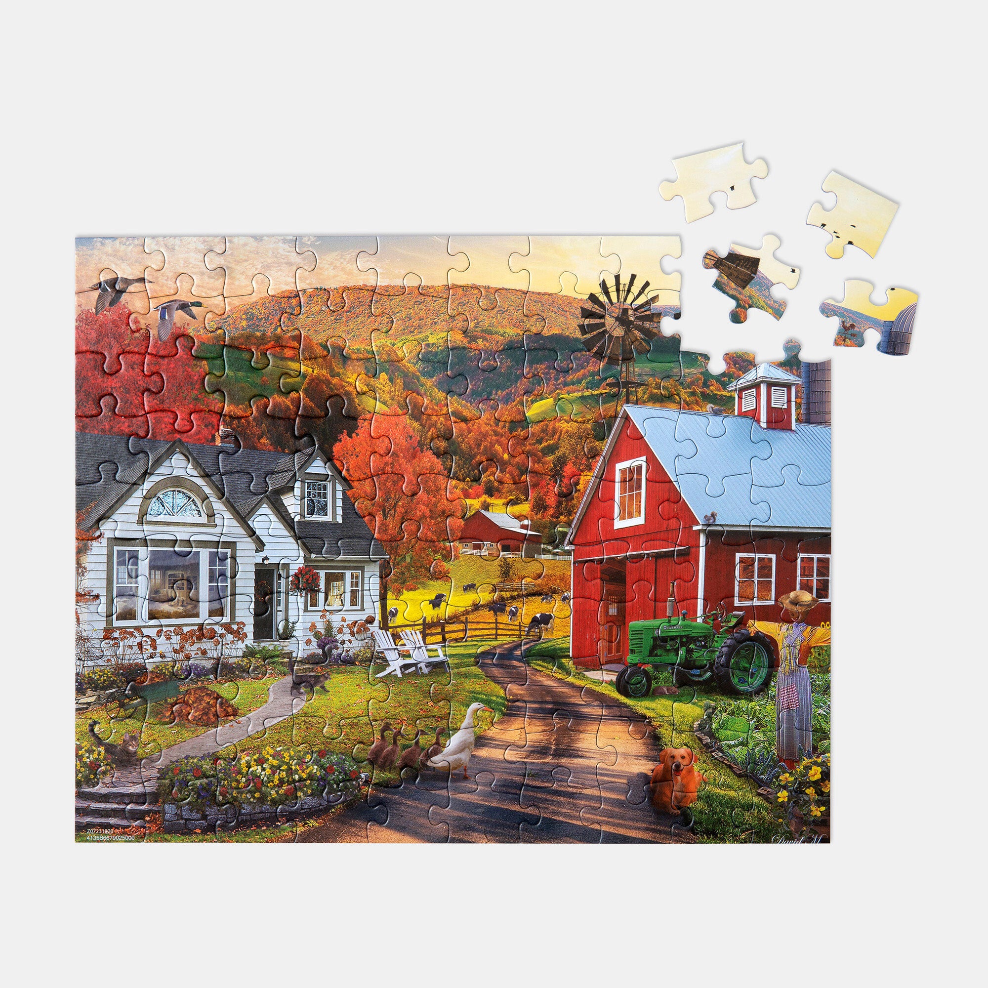 Relish - Casse-tête adapté - 100 pièces | Eugeria